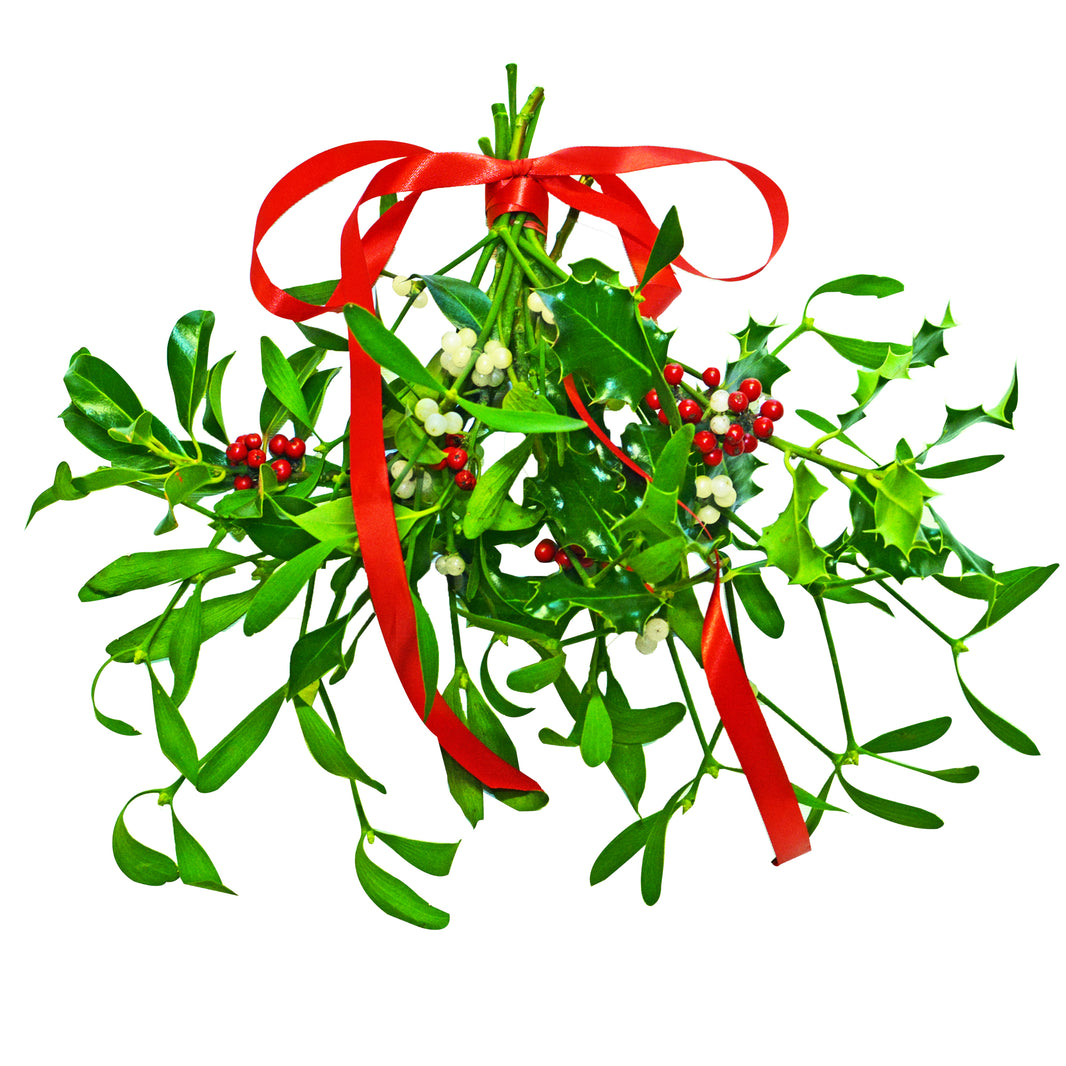 Fresh Christmas Decorations | KissMe Mistletoe