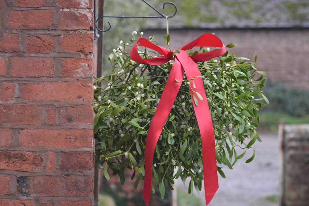 KissMe Mistletoe Balls & Globes | KissMe Mistletoe