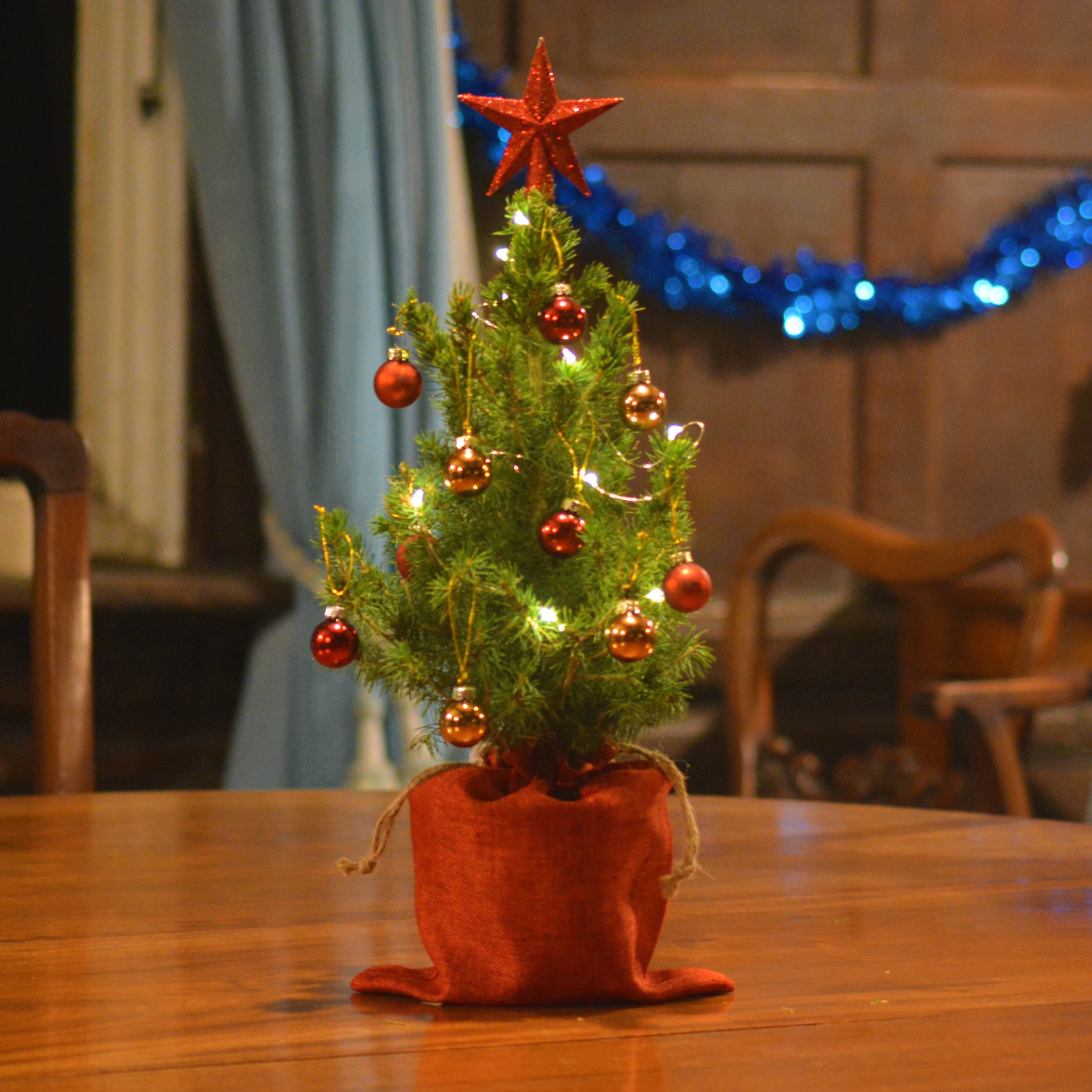Fresh Christmas Decorations | KissMe Mistletoe