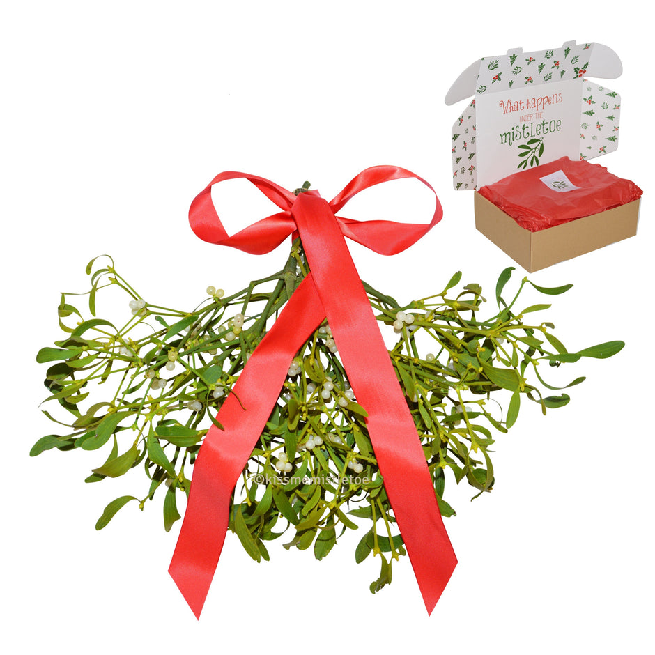 Fresh Christmas Decorations | KissMe Mistletoe